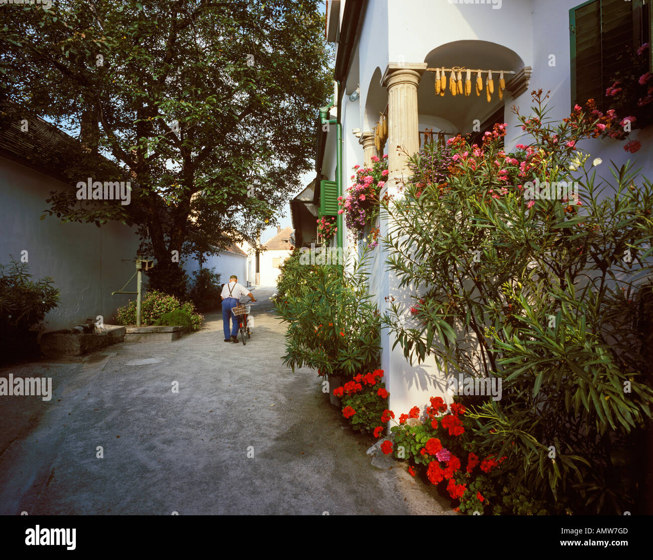 Morbisch Burgenland Stockfotos und -bilder Kaufen - Alamy