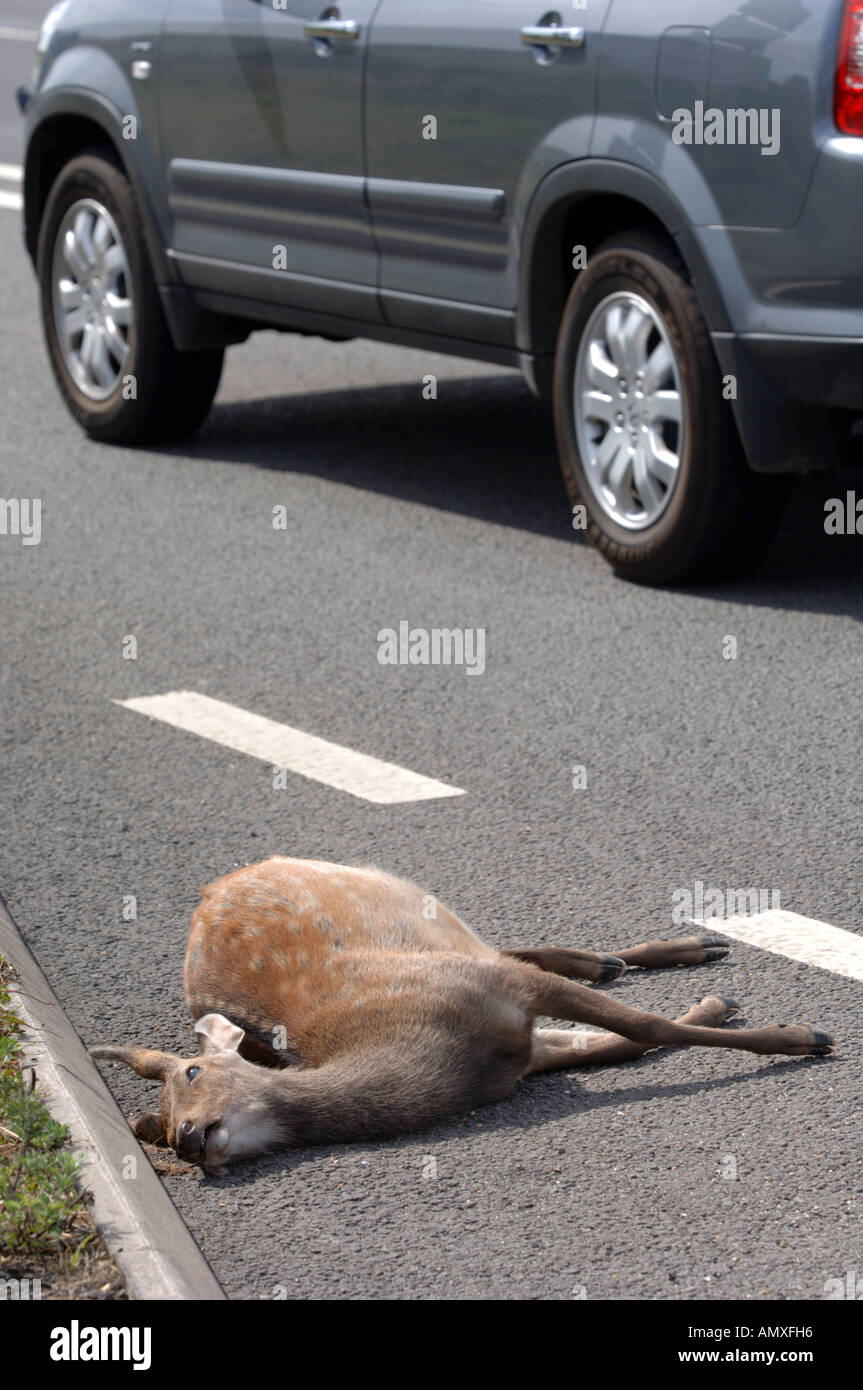 Uk gb traurige erhaltung -Fotos und -Bildmaterial in hoher Auflösung ...