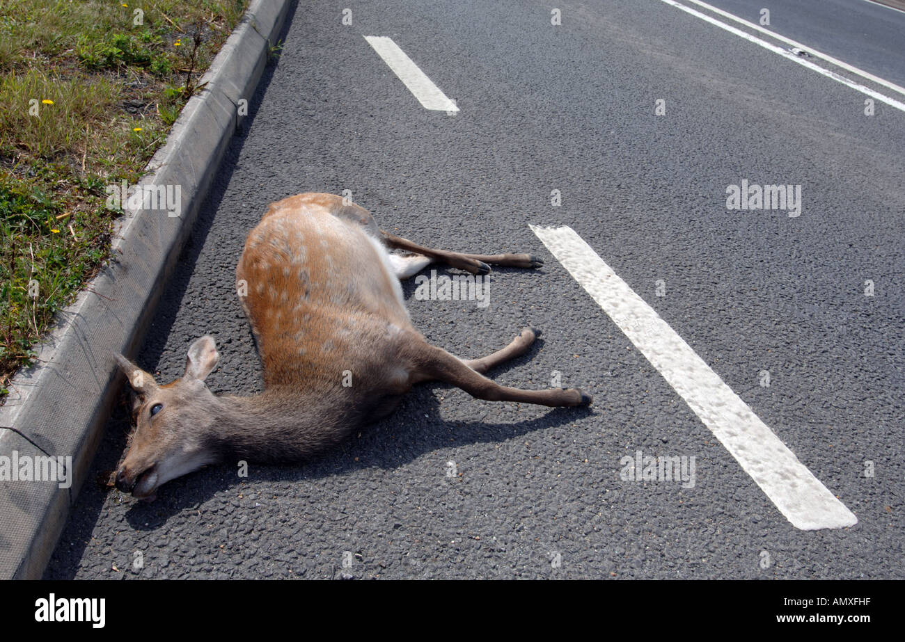 Uk gb traurige erhaltung -Fotos und -Bildmaterial in hoher Auflösung ...