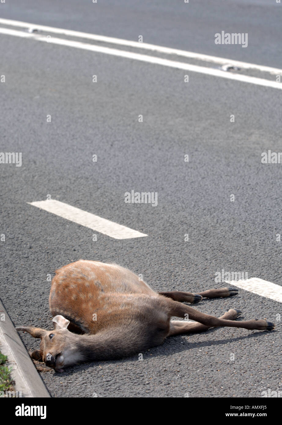 Uk gb traurige erhaltung -Fotos und -Bildmaterial in hoher Auflösung ...