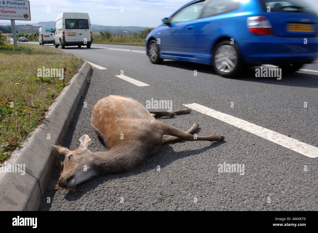 Uk gb traurige erhaltung -Fotos und -Bildmaterial in hoher Auflösung ...