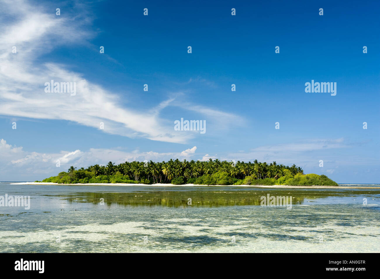 Maldives addu atoll feydhoo island -Fotos und -Bildmaterial in hoher ...
