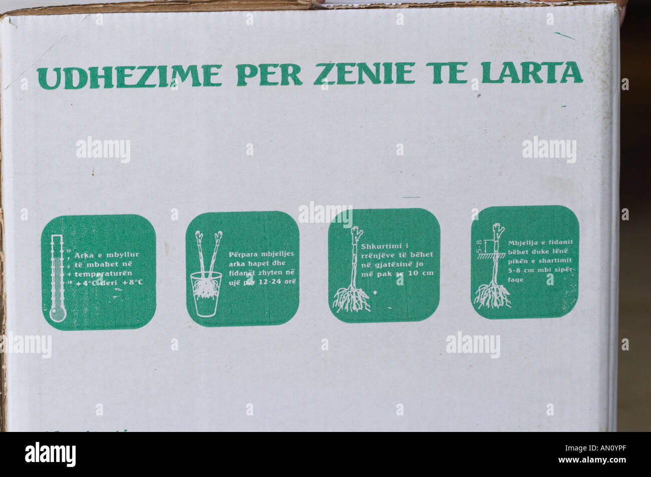 Stecklinge schneiden vitis vinifera -Fotos und -Bildmaterial in hoher ...