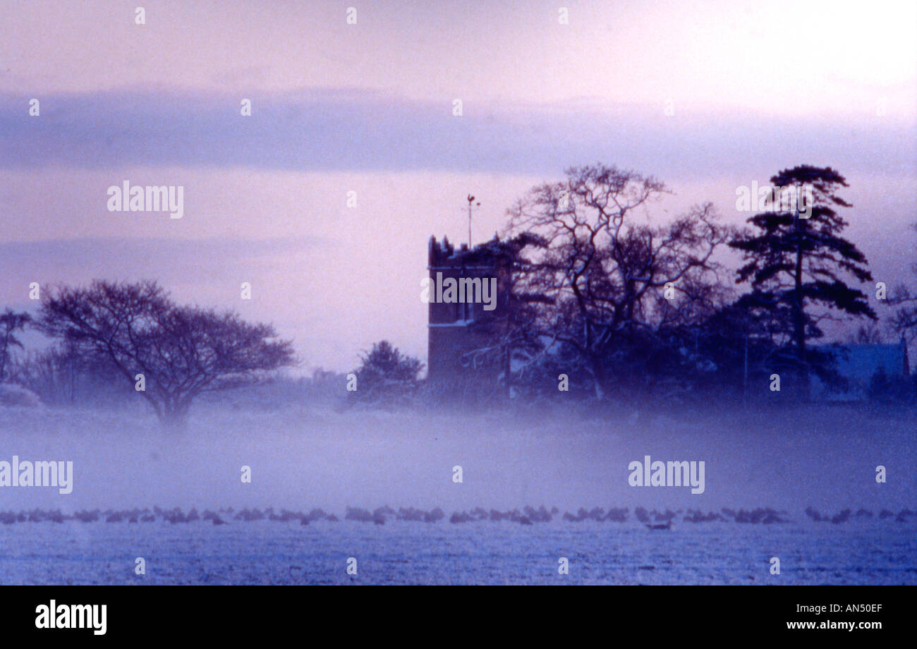Ellingham kirche -Fotos und -Bildmaterial in hoher Auflösung – Alamy