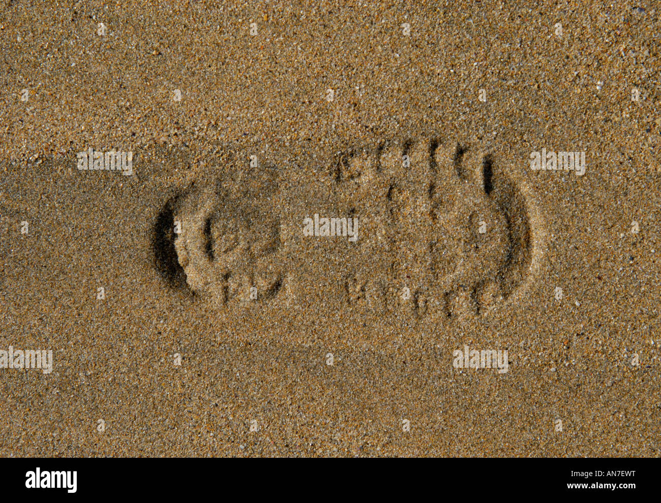 Trainer footprint in sand -Fotos und -Bildmaterial in hoher Auflösung ...