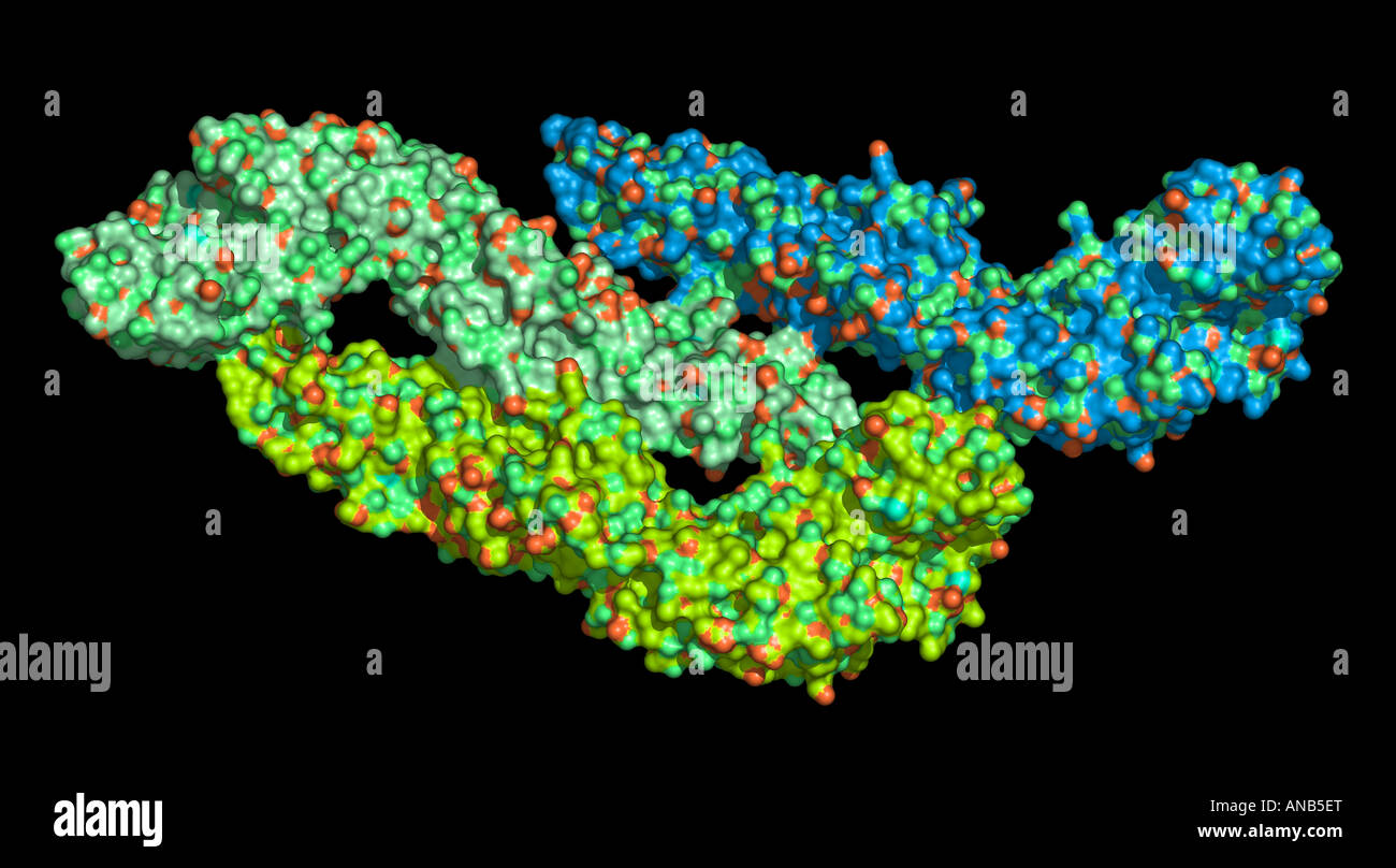 Hämorrhagisches fieber -Fotos und -Bildmaterial in hoher Auflösung – Alamy