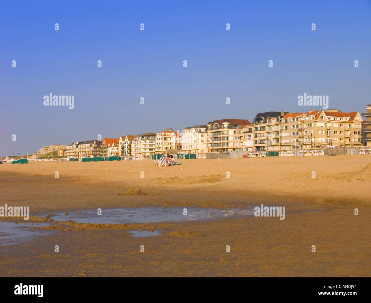 Pferd beac -Fotos und -Bildmaterial in hoher Auflösung – Alamy