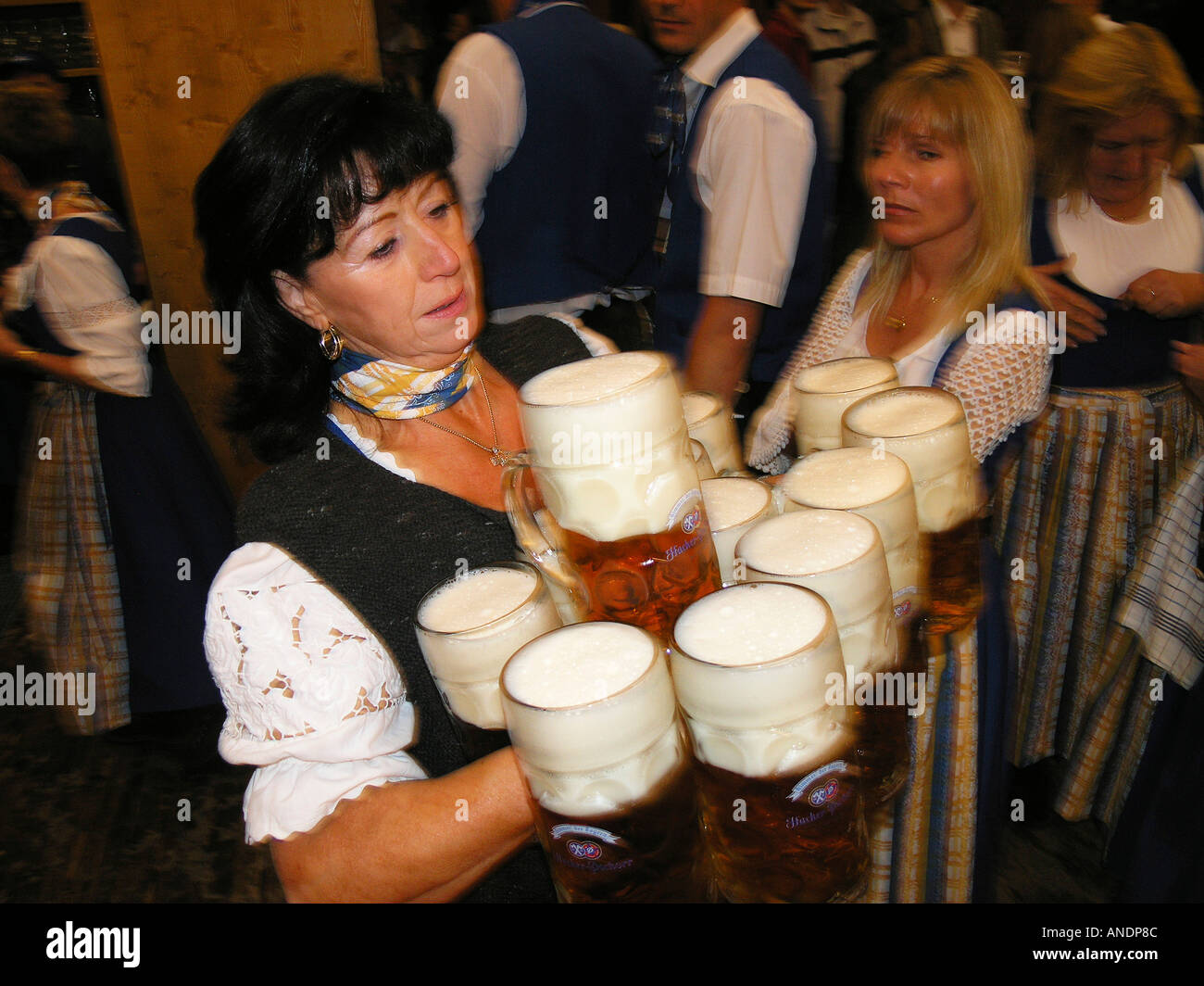 Kellnerin gekleidet im Dirndl servieren Liter Glas Bier im Oktoberfest ...
