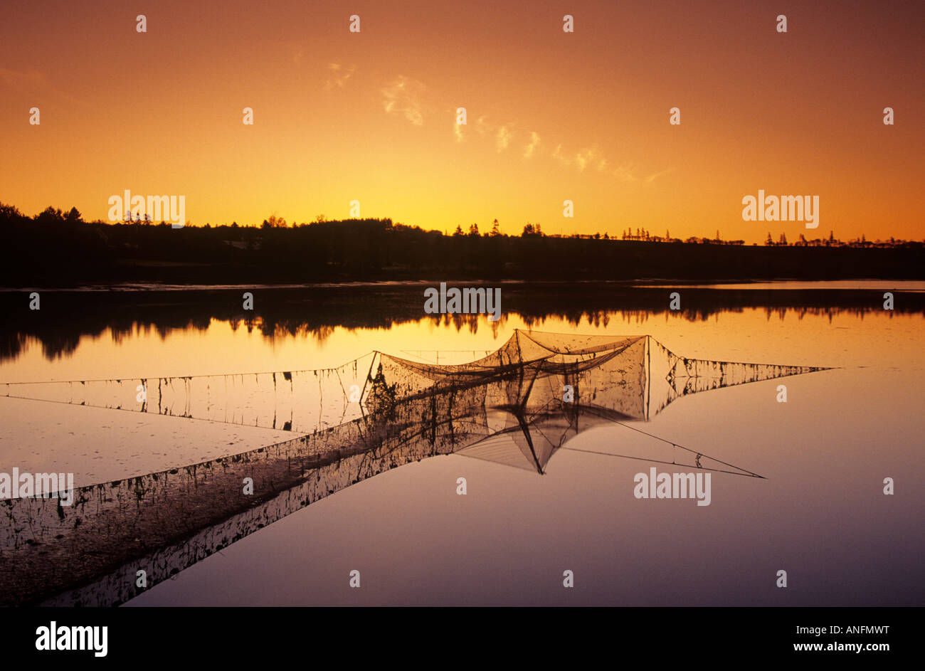 Gaspereau fluss -Fotos und -Bildmaterial in hoher Auflösung – Alamy