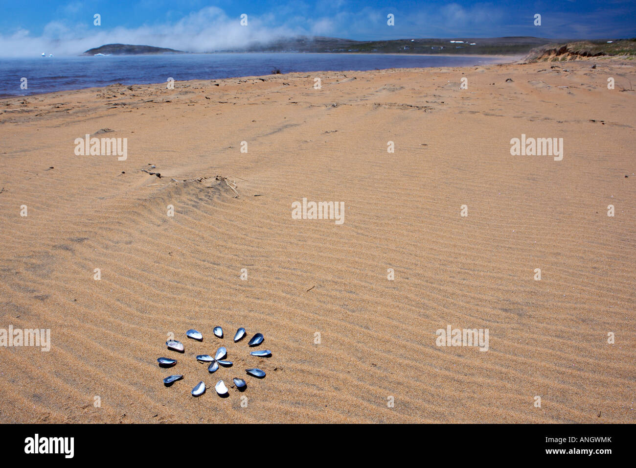 Pinware river provincial park -Fotos und -Bildmaterial in hoher ...