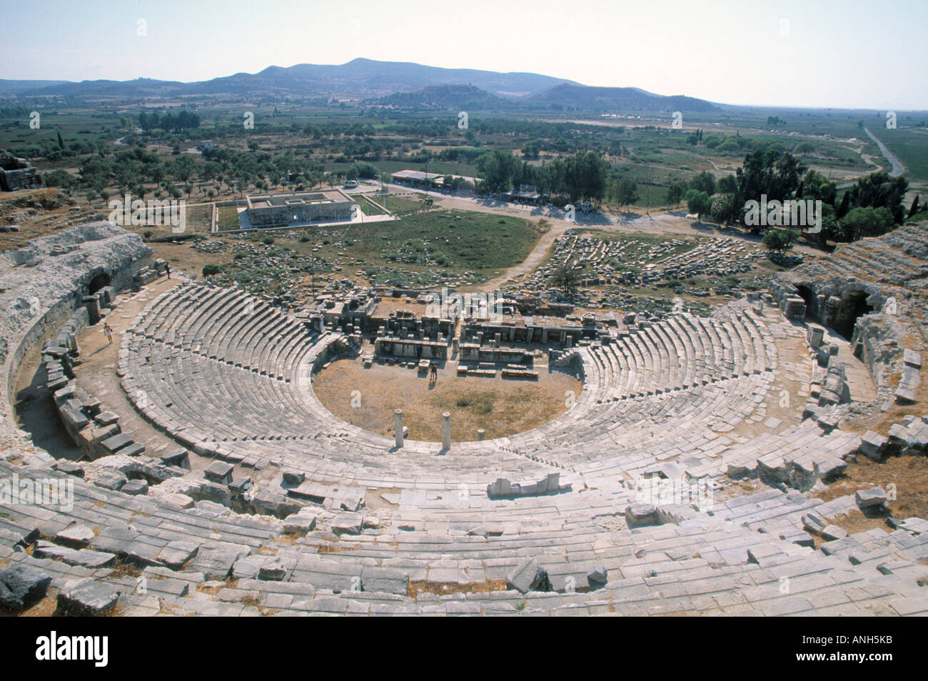 Miletus truthahn -Fotos und -Bildmaterial in hoher Auflösung – Alamy