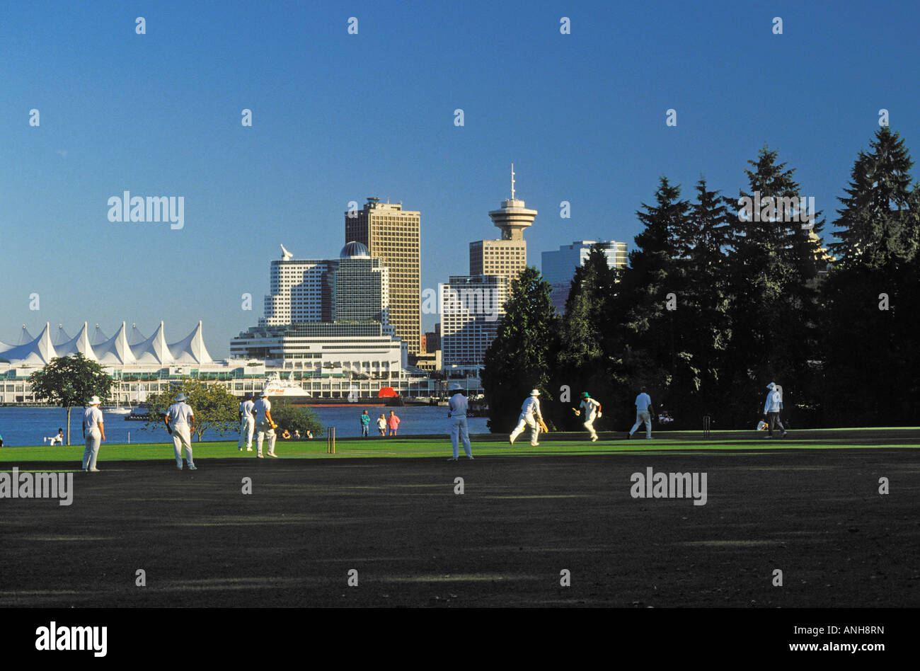 Stanley park cricket -Fotos und -Bildmaterial in hoher Auflösung – Alamy