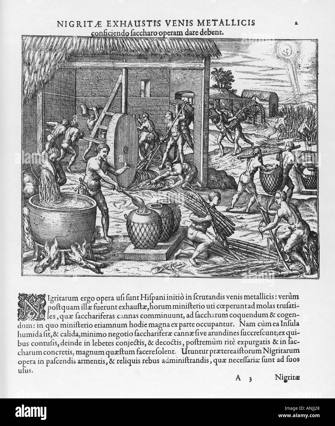 Hispaniola sklaven -Fotos und -Bildmaterial in hoher Auflösung – Alamy