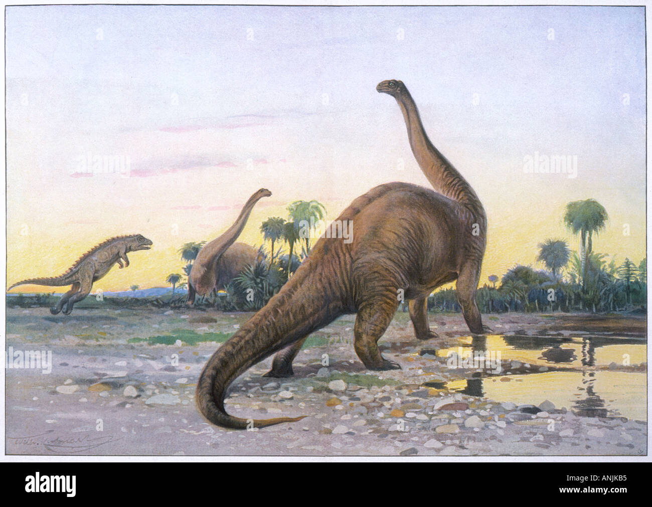 Allosaurus dinosaur dinosaurs -Fotos und -Bildmaterial in hoher Auflösung - Seite 3 - Alamy