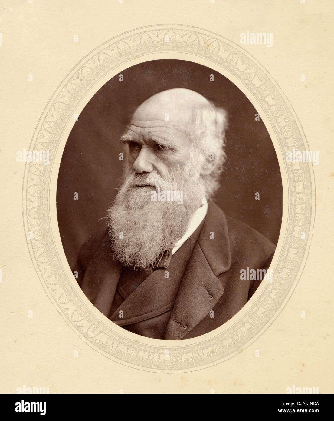 Charles darwin als -Fotos und -Bildmaterial in hoher Auflösung – Alamy