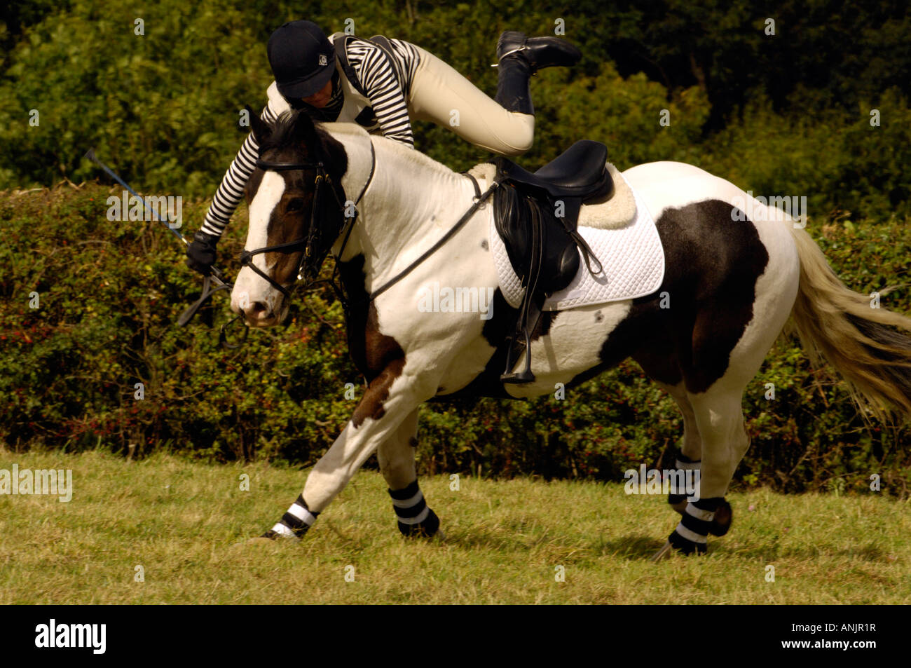 Riding accident horse -Fotos und -Bildmaterial in hoher Auflösung – Alamy