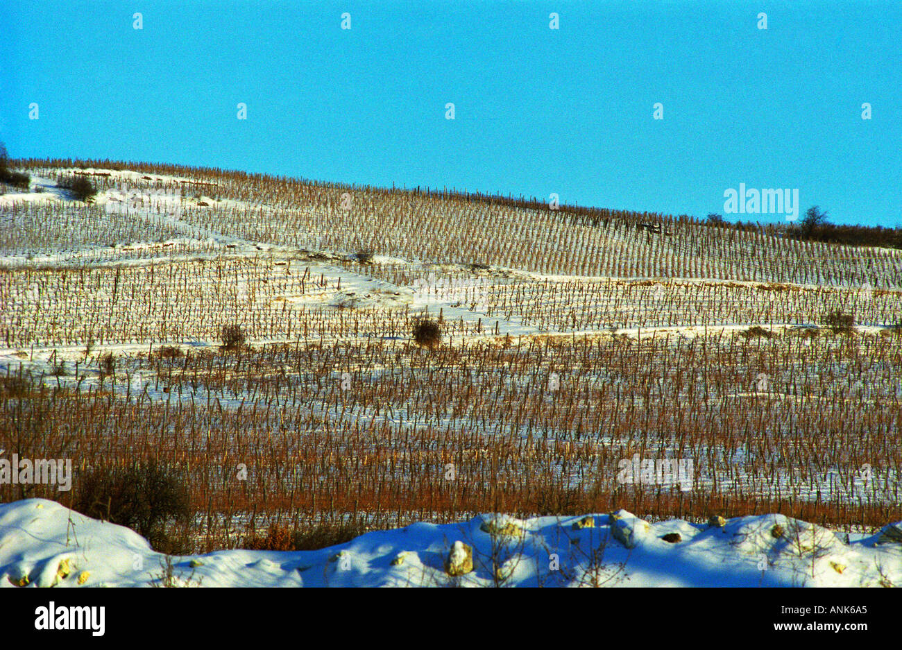 Blick vom Weingut Oremus über die Weinberge rund um das Dorf Tolcsva in ...