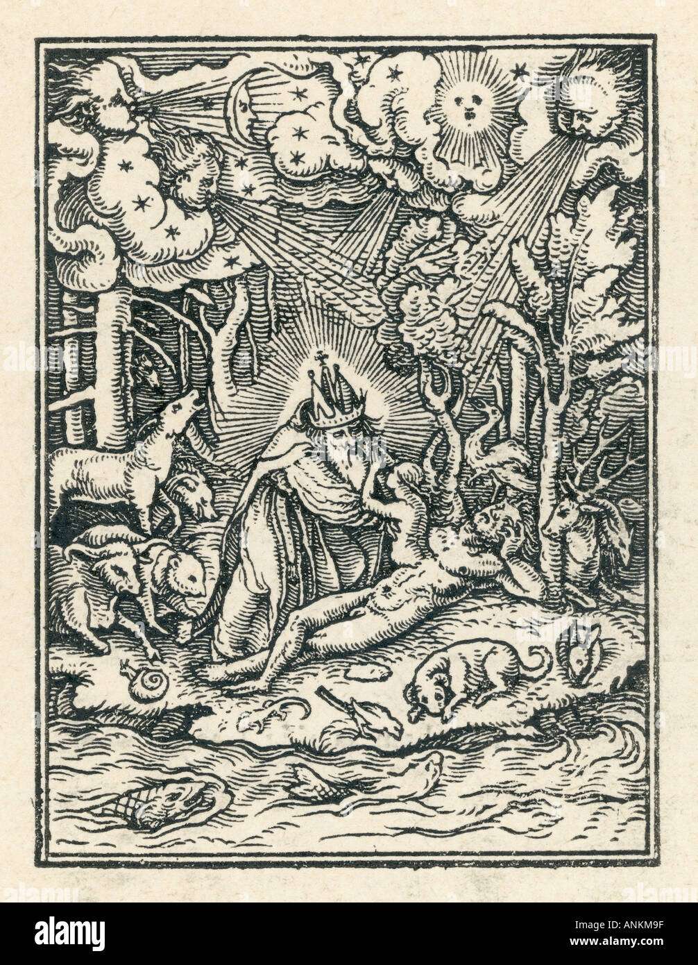 God creates adam -Fotos und -Bildmaterial in hoher Auflösung – Alamy