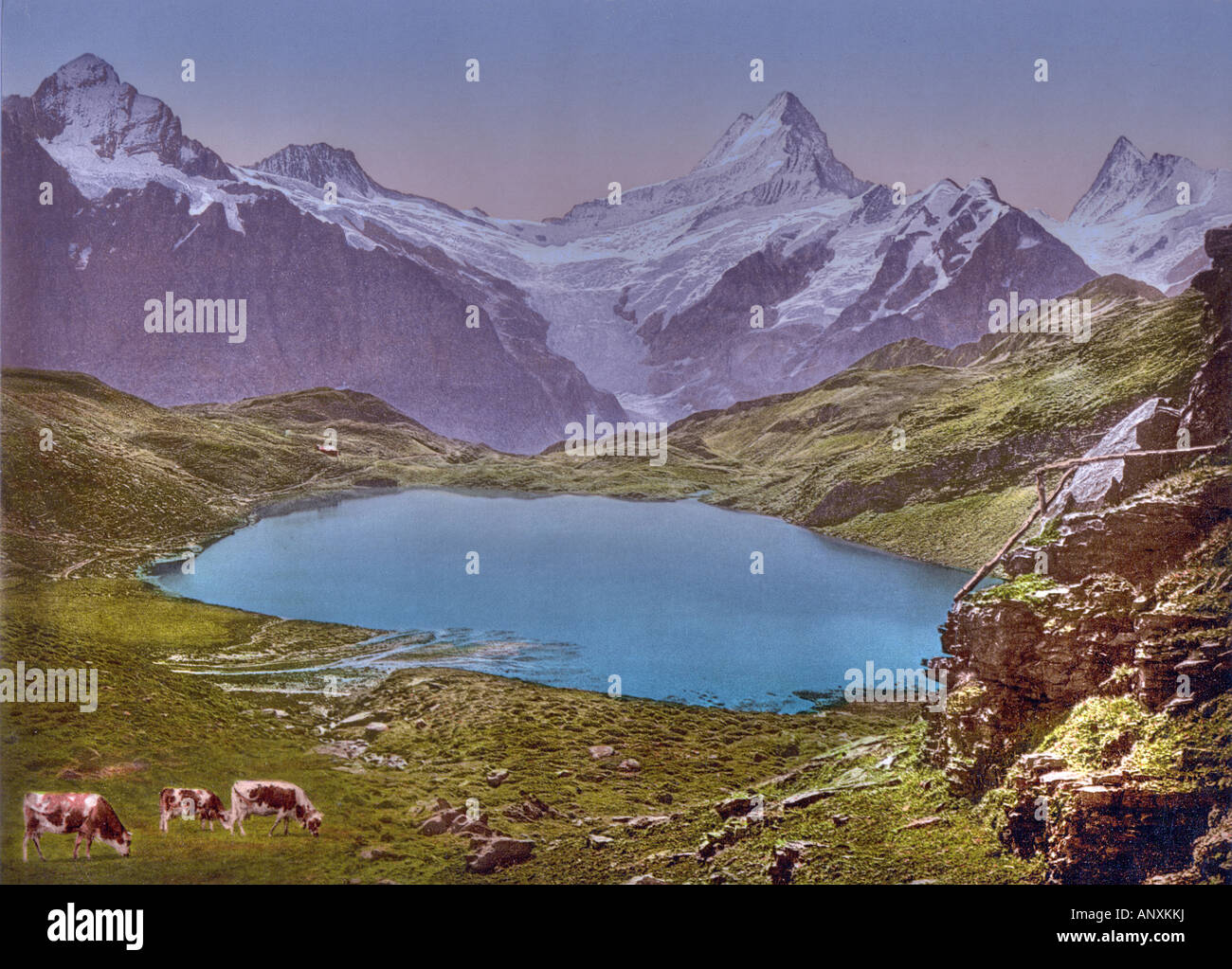 Berner oberland vintage -Fotos und -Bildmaterial in hoher Auflösung – Alamy