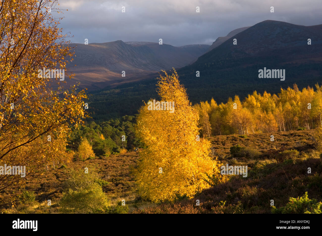 Lairig ghru tullochgrue -Fotos und -Bildmaterial in hoher Auflösung – Alamy