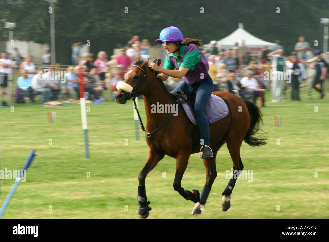 Pony club -Fotos und -Bildmaterial in hoher Auflösung – Alamy