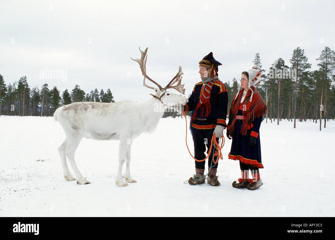 Samen mit Rentier-Finnland Stockfotografie - Alamy