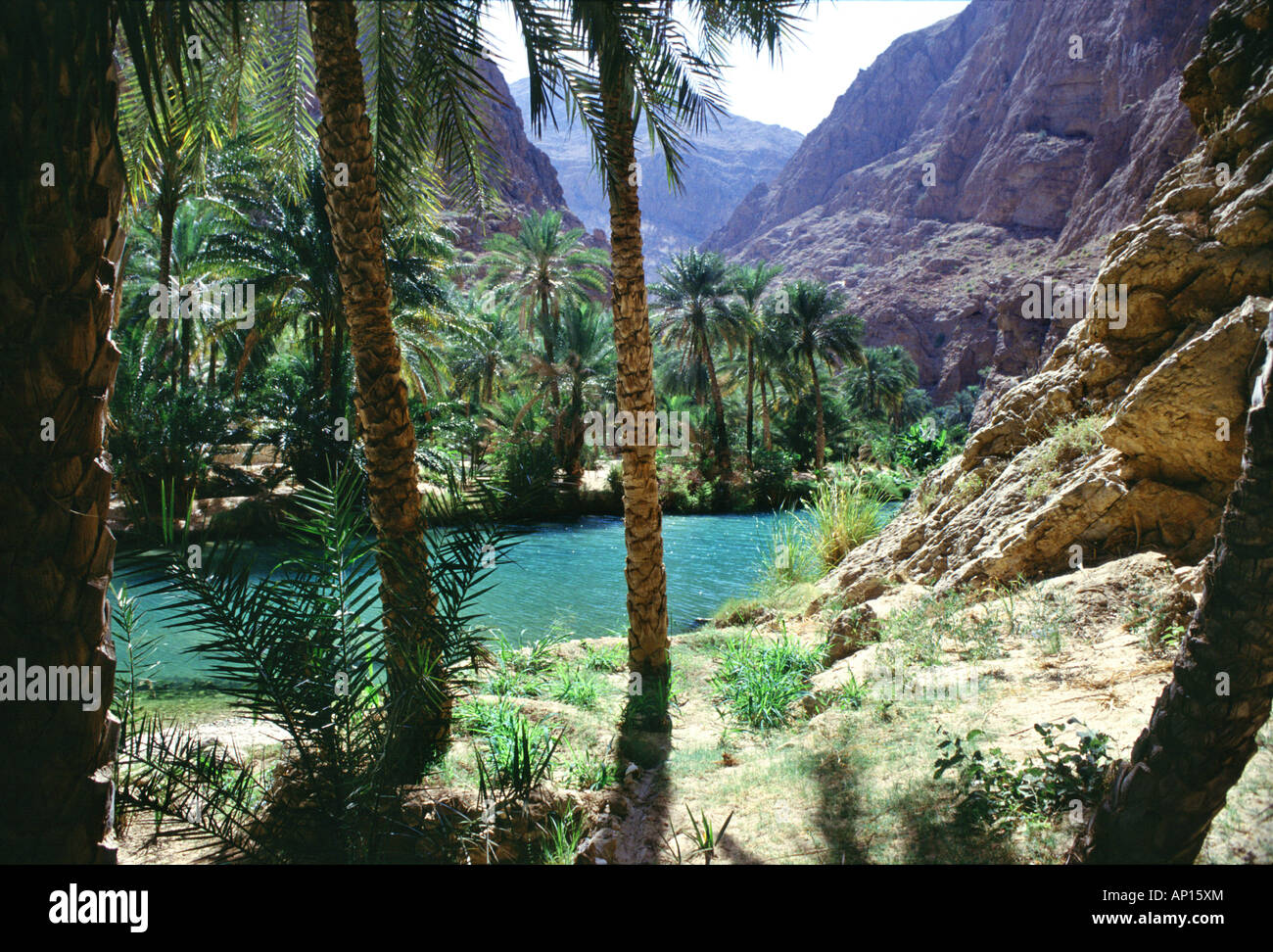 Wadi Shab Oase Wadi Shab, Oman Stockfotografie - Alamy