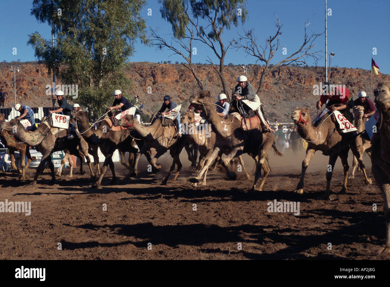 Alice springs australia camel race -Fotos und -Bildmaterial in hoher ...