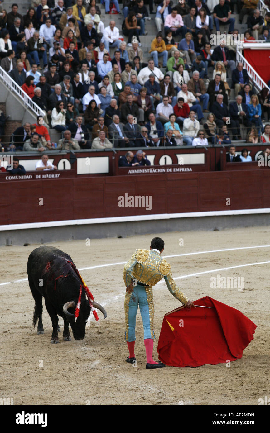 Stierkampf madrid -Fotos und -Bildmaterial in hoher Auflösung – Alamy