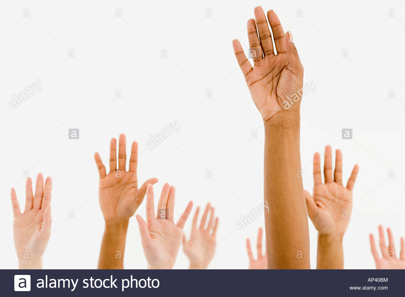 Anatomie Des Menschen Stockfotos & Anatomie Des Menschen Bilder - Alamy