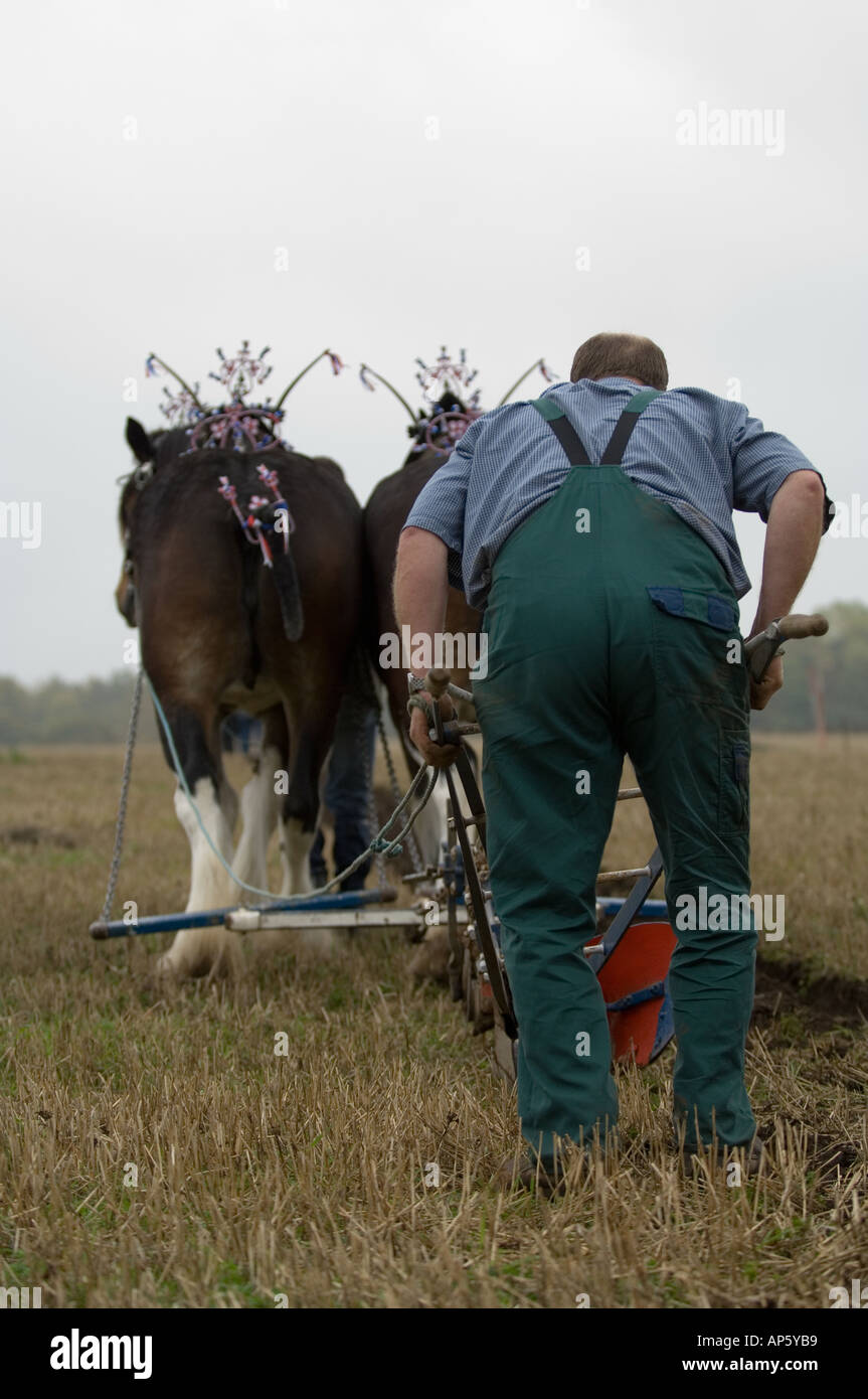 Landwirte und Pferd gezogenen Pflug beim Oldtimer Pflügen Wettbewerb P ...