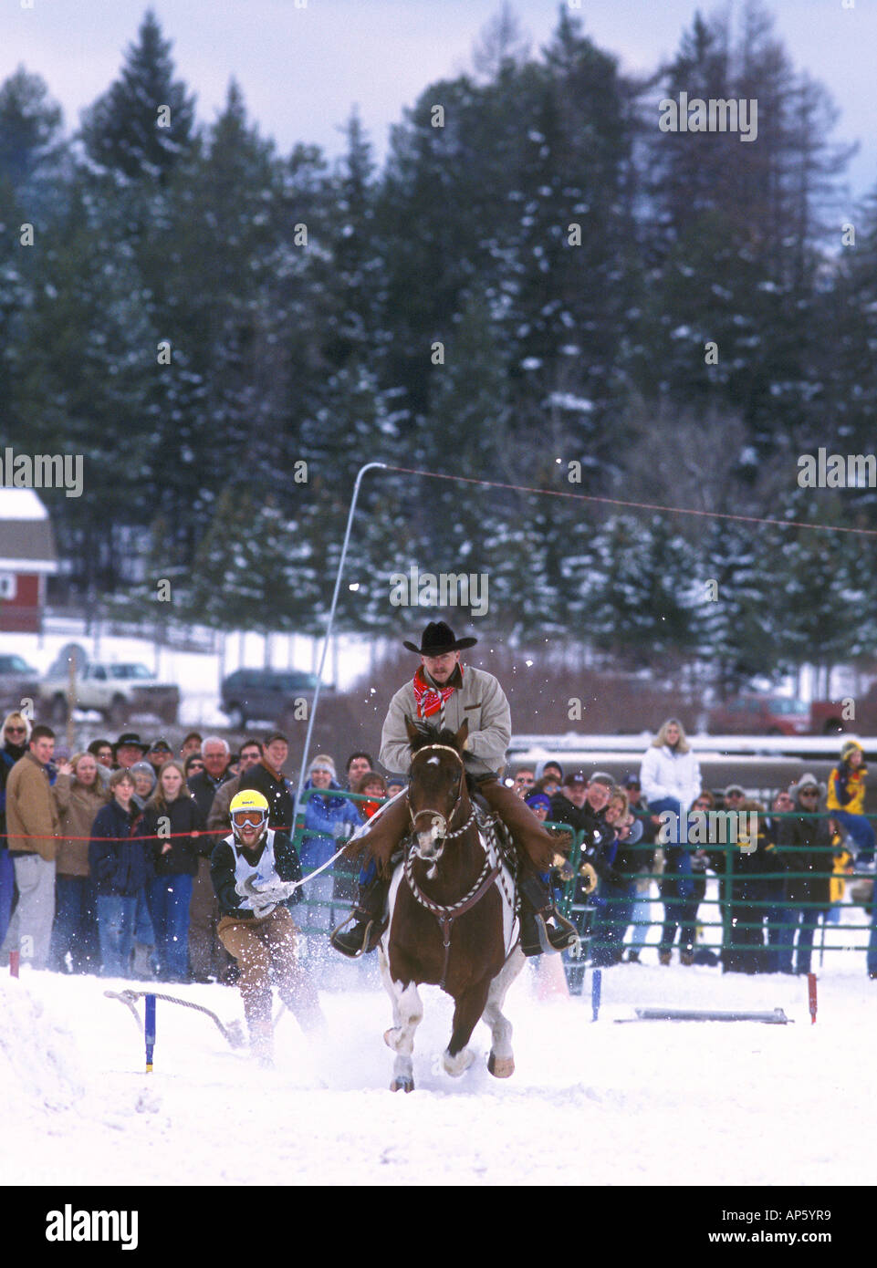 Ski Joring Stockfotos und -bilder Kaufen - Alamy