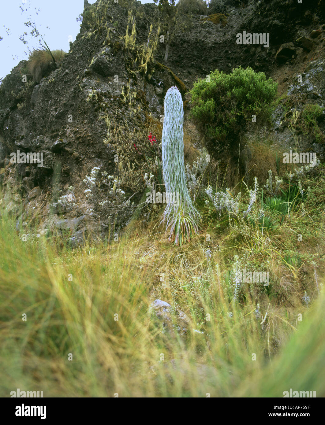 Teleki valley -Fotos und -Bildmaterial in hoher Auflösung – Alamy