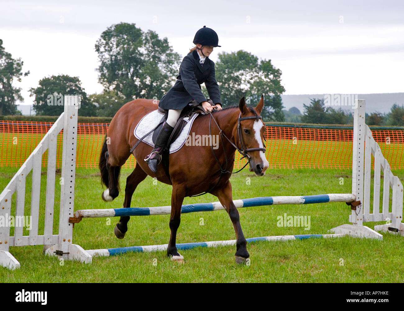 Springender zaun -Fotos und -Bildmaterial in hoher Auflösung – Alamy
