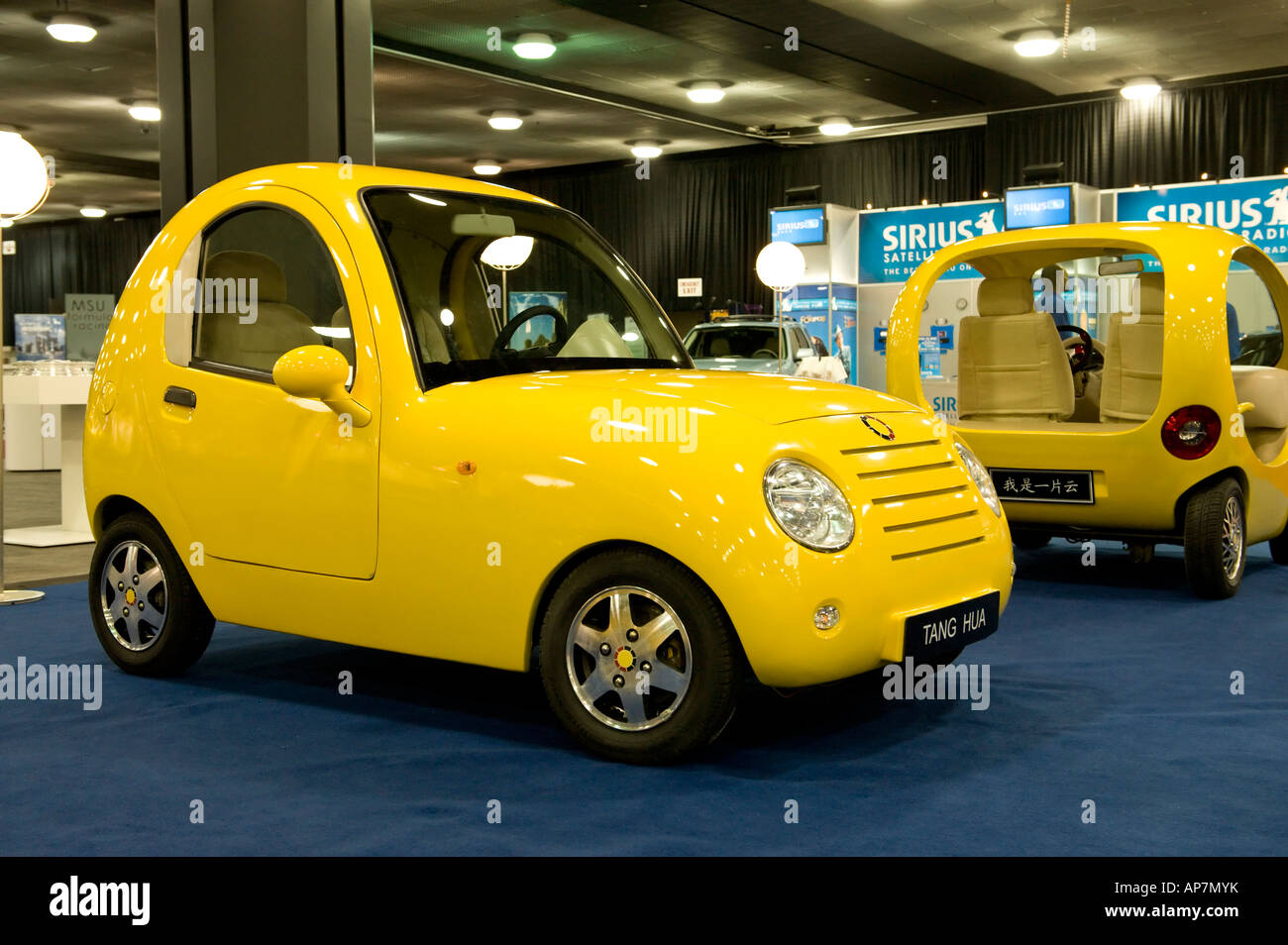 Tang hua -Fotos und -Bildmaterial in hoher Auflösung – Alamy
