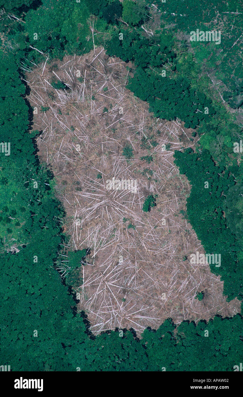 Regenwaldrodung brasilien -Fotos und -Bildmaterial in hoher Auflösung ...
