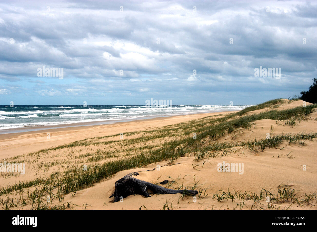 Captain james fraser -Fotos und -Bildmaterial in hoher Auflösung – Alamy