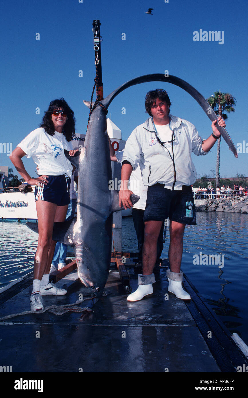 Gemeiner Fuchshai Stockfotos und -bilder Kaufen - Alamy