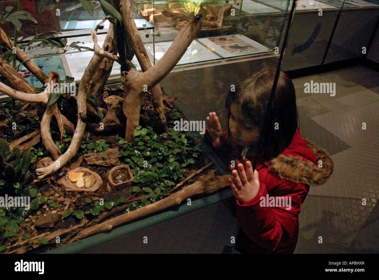 Montreales insektarium -Fotos und -Bildmaterial in hoher Auflösung – Alamy