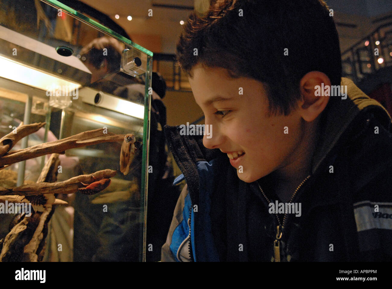 Insekten insektarium -Fotos und -Bildmaterial in hoher Auflösung – Alamy