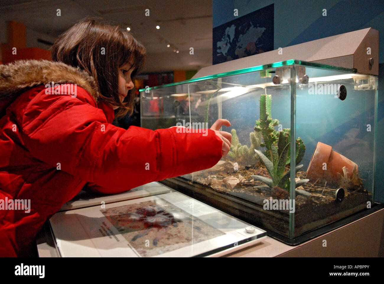 Montreales insektarium -Fotos und -Bildmaterial in hoher Auflösung – Alamy