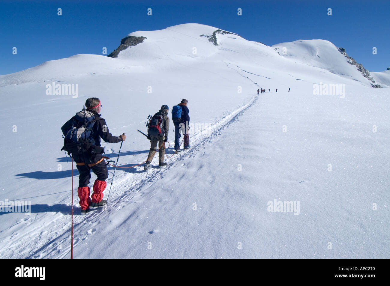 Bergsteiger, die Wanderung über einen Gletscher in Richtung Breithorn ...