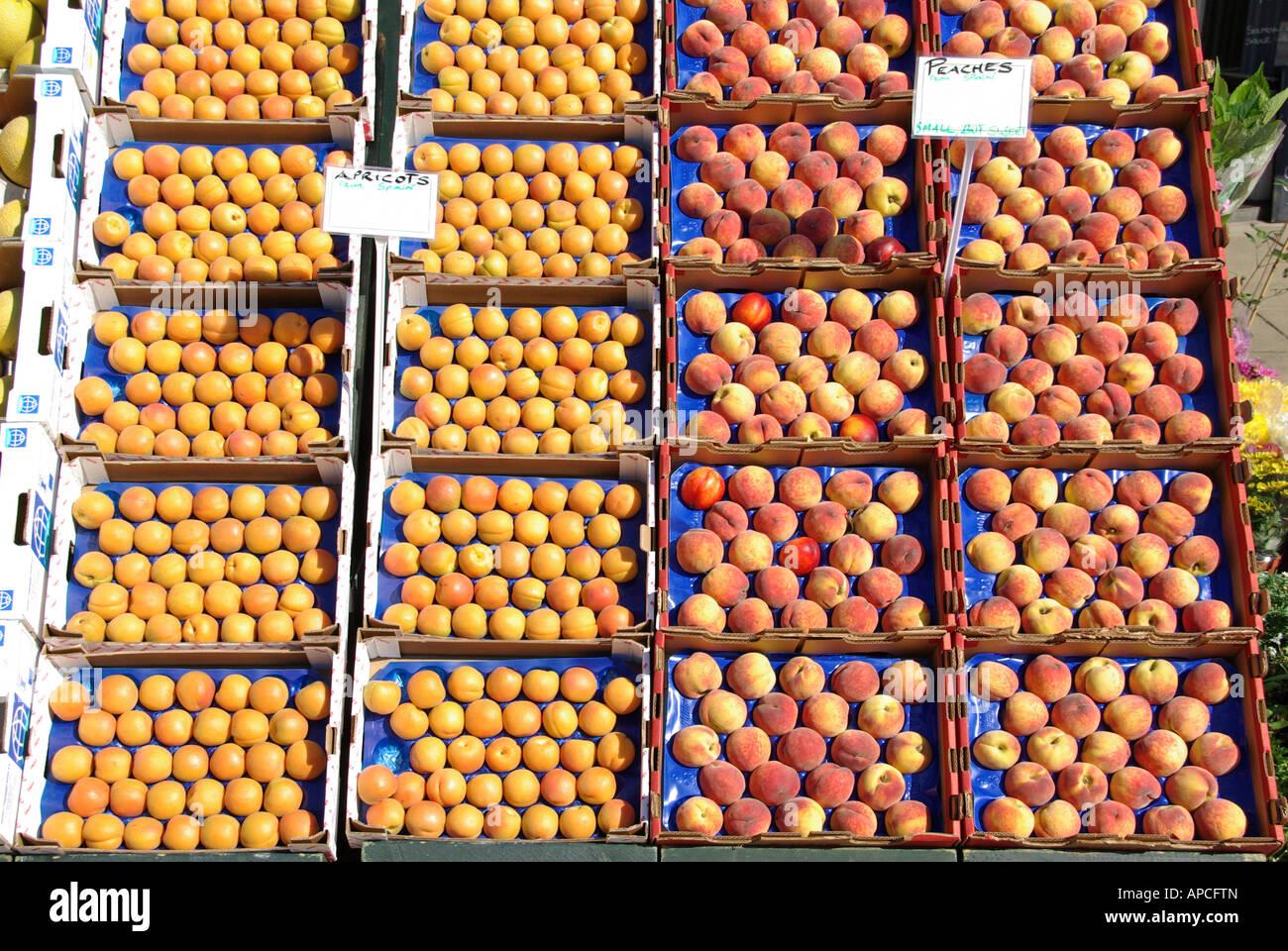 Pflaster-Display vor Obst-und Gemüsehändler Shop-Boxen von Reifen ...