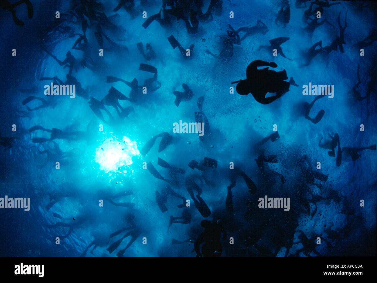 Freediving underwater -Fotos und -Bildmaterial in hoher Auflösung – Alamy
