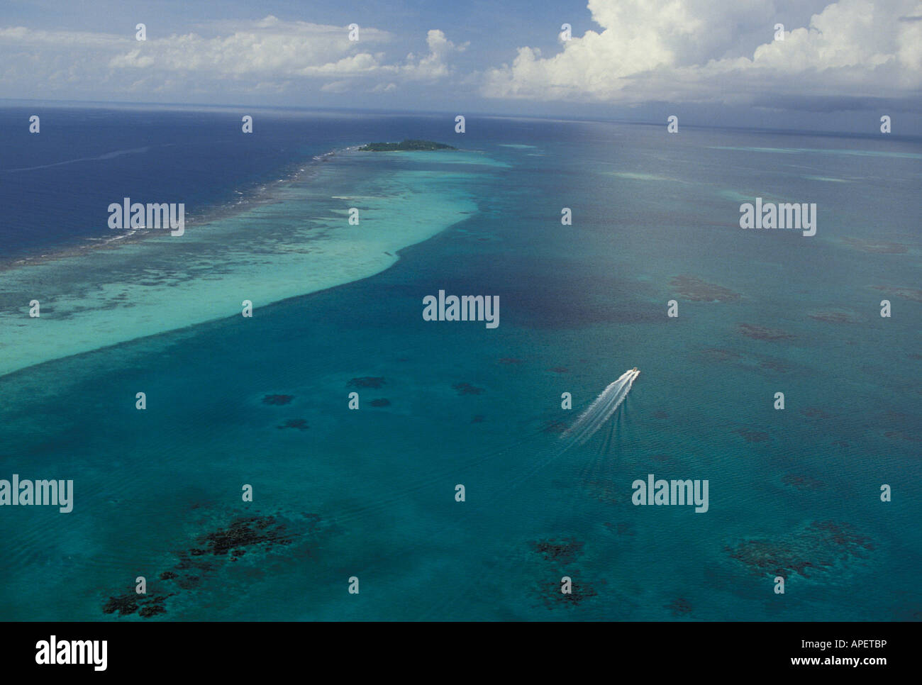 Glover's reef belize -Fotos und -Bildmaterial in hoher Auflösung – Alamy