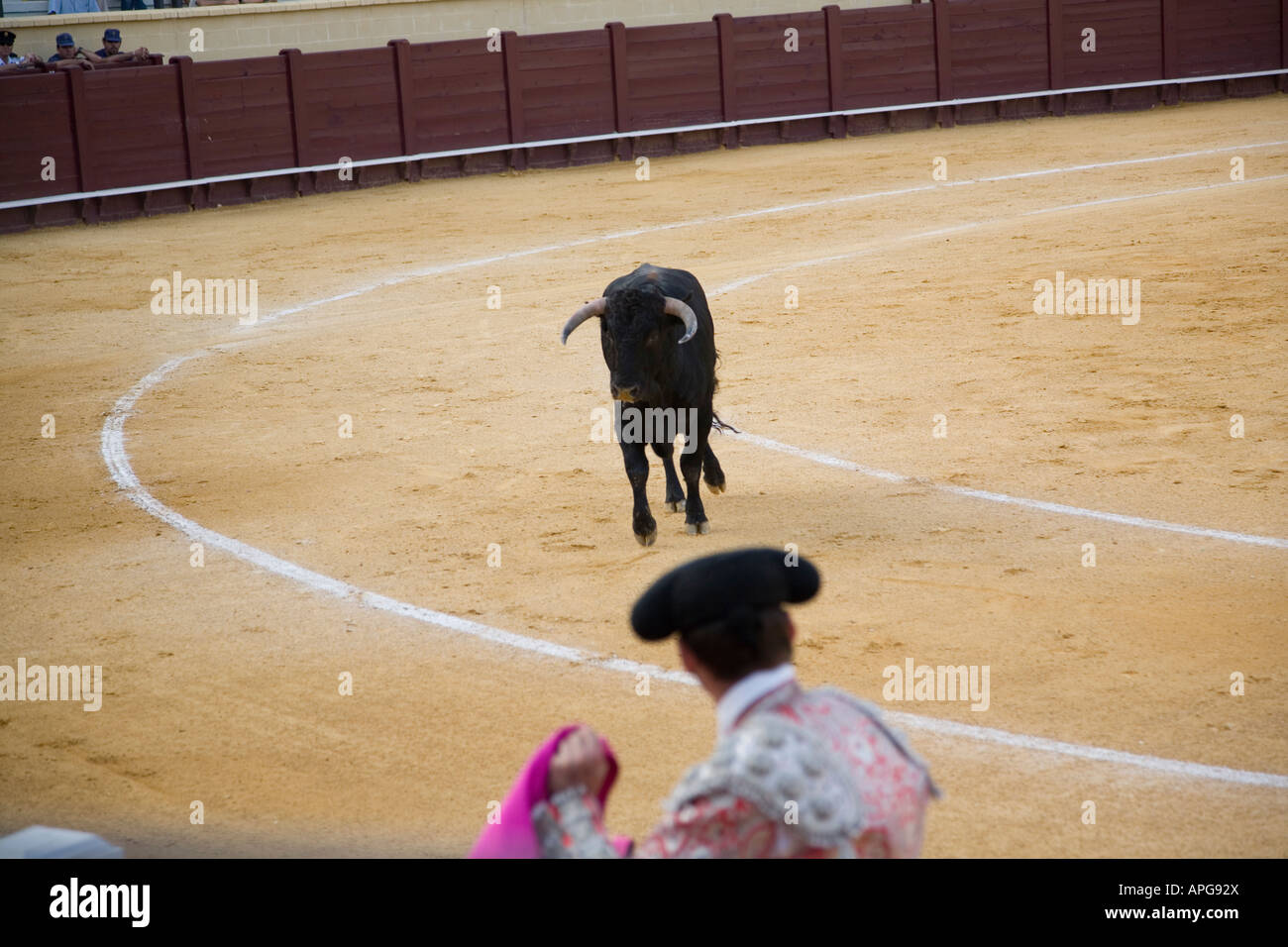 Torero outfit -Fotos und -Bildmaterial in hoher Auflösung – Alamy