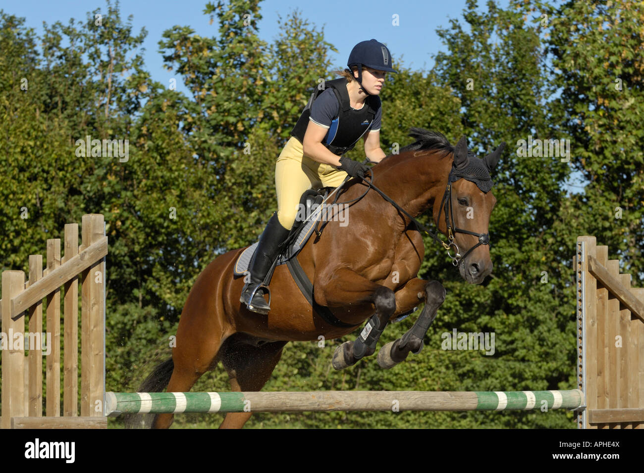 Springender reiter -Fotos und -Bildmaterial in hoher Auflösung – Alamy