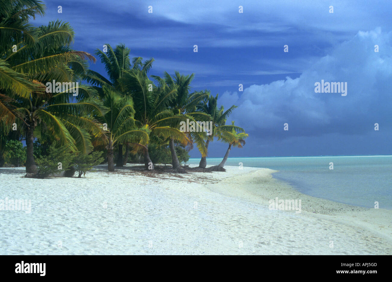 Frisches haff flucht -Fotos und -Bildmaterial in hoher Auflösung – Alamy