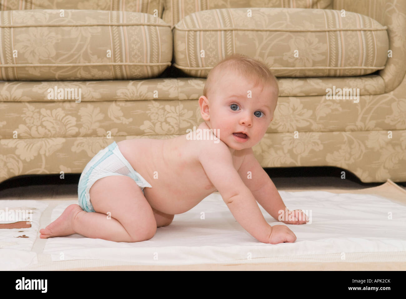 Krabbeln kniend kriechen -Fotos und -Bildmaterial in hoher Auflösung – Alamy