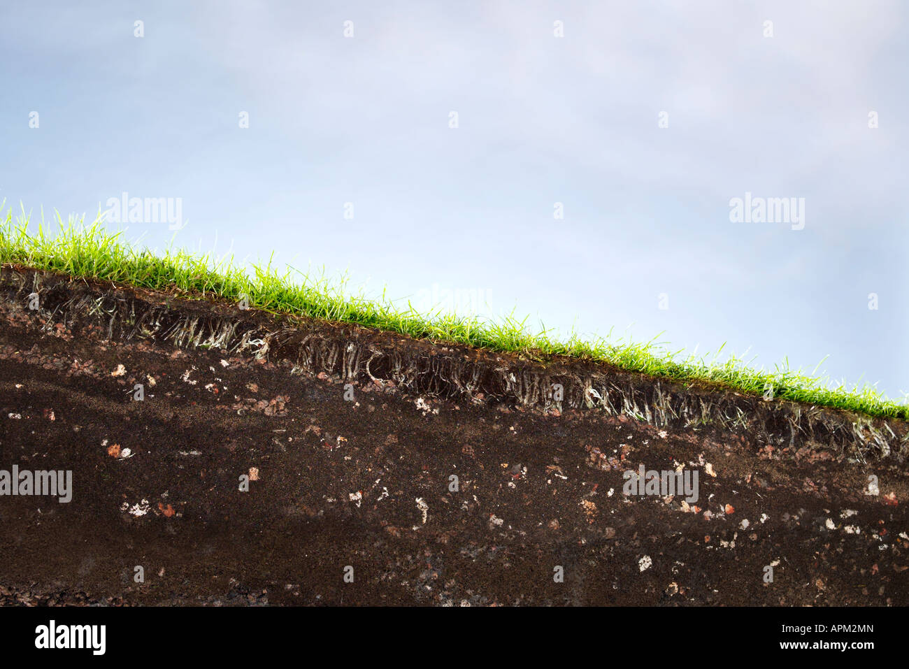 Gras Wurzeln Stockfotos und -bilder Kaufen - Alamy